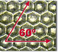 Understanding Anilox Line Screen - Harper Corporation of America